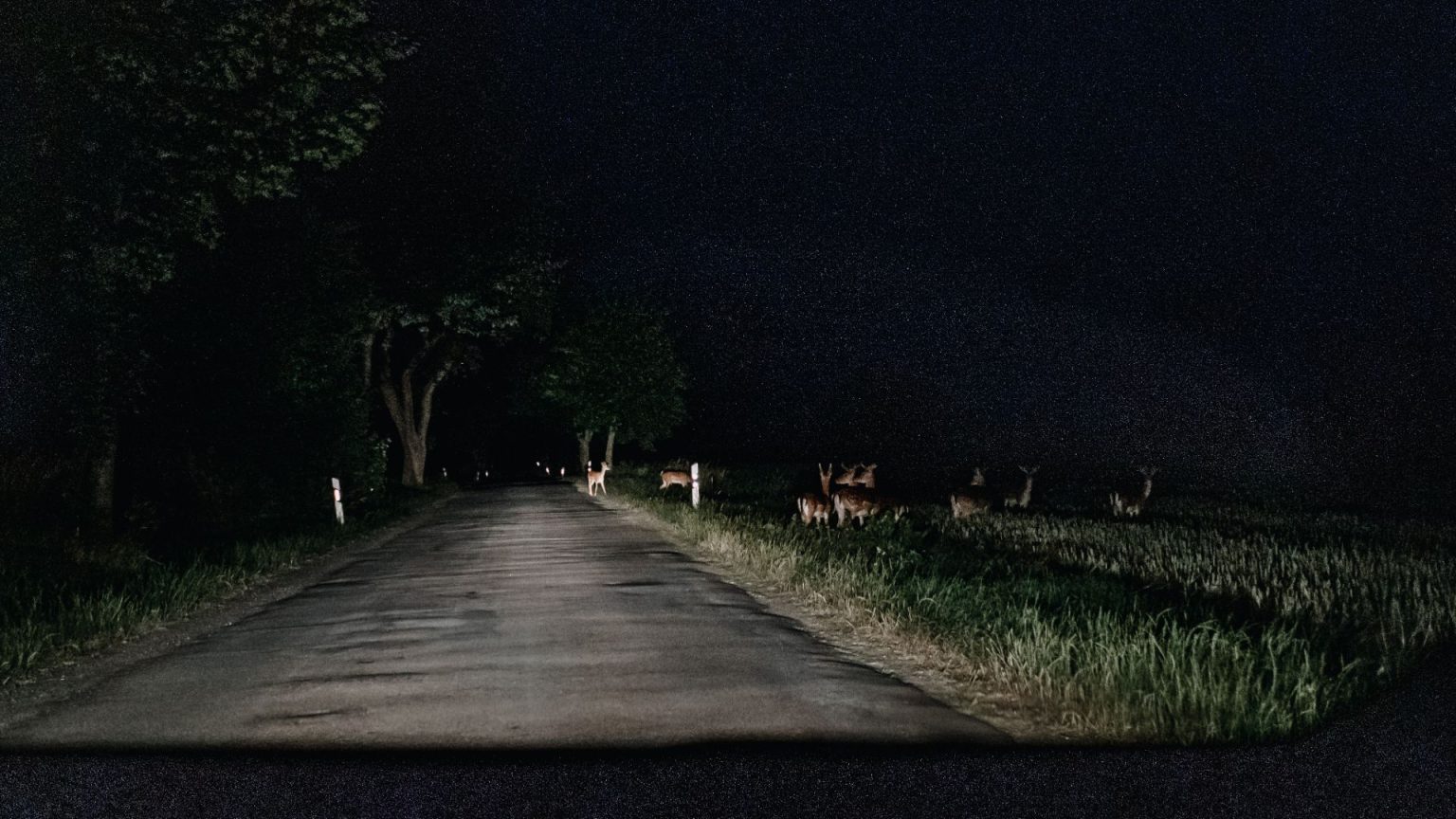Why should you drive slower at night? — how to stay safe | REREV