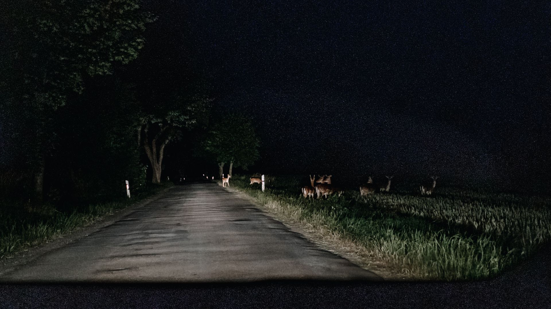 Why should you drive slower at night? — how to stay safe | REREV