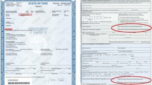 What does a car title look like? — explained | REREV